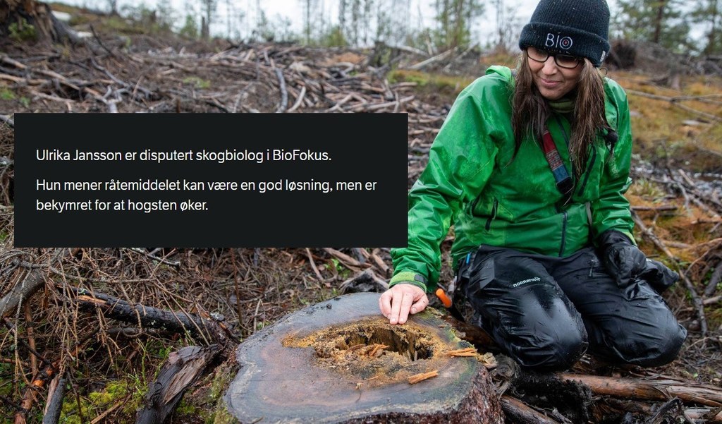 Ulrika Jansson hos NRK: Om skogvern og råtebekjempelse som klimatiltak ...