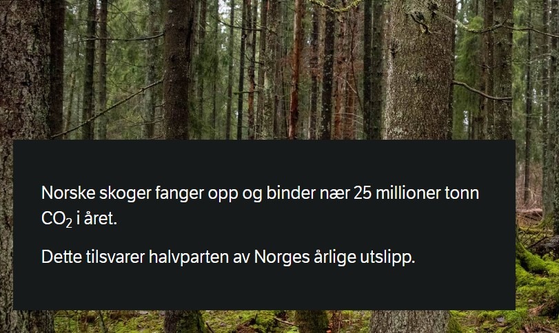 Ulrika Jansson hos NRK: Om skogvern og råtebekjempelse som klimatiltak ...